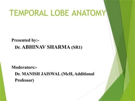 Temporal Lobe Anatomy Neurosurgery Final Pptx