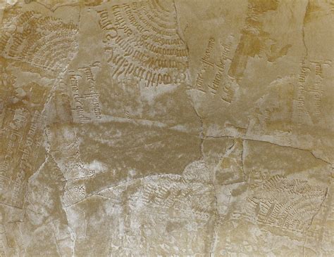 Old World Bone Textures In Wallcovering