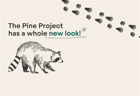 The Pine Project Has A Whole New Look Pine Project