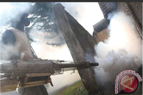 Dengue Hemorrhagic Fever Cases Spike In Tulungagung East Java Health