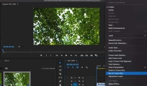 Wie ändert man Größe eines Videos in Premiere