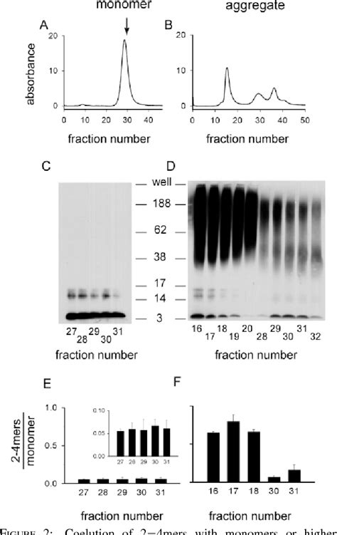 Figure 1 From Amyloid Beta 1 42 Rapidly Forms Protofibrils And Oligomers By Distinct Pathways
