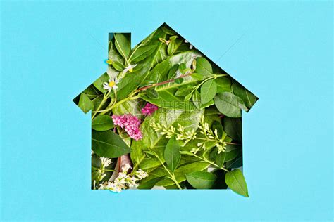 生态友好的房子高清图片下载 正版图片506594888 摄图网