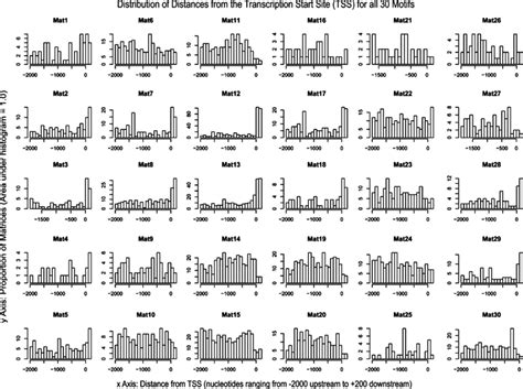 The Average Spatial Distribution Of All 30 Identified Motifs Relative