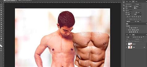 【ps怎么制造腹肌ps制造腹肌教程】photoshop北极熊素材库