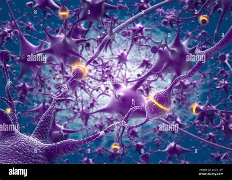 Neural Network Computer Artwork Of Nerve Cells Neurons Connected By