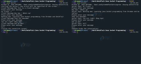 Socket Programming In Java Established Java Socket Connection Dataflair