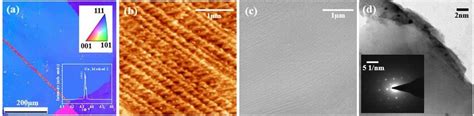 Hbn Deposited On Electropolished Cu Substrate Miii A Ebsd