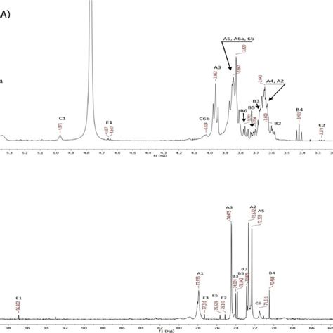 The 1 H A And 13 C B Nmr Spectra Of Gpn Download Scientific Diagram