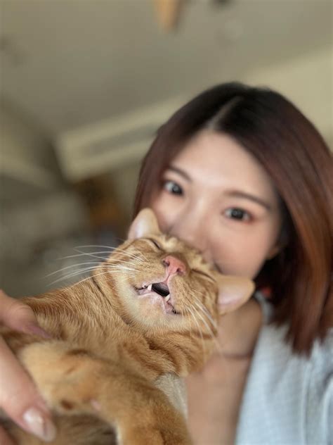 你們最喜歡哪種花色的貓？ 我自己是都好喜歡🤭 中途了這麼多年 發現同一種花色個性也截然不同 但 橘貓 有一個特色肯定相同 就是（我放留言