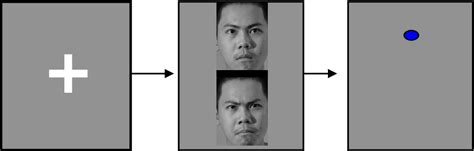 Figure 1 From Attentional Biases For Emotional Faces In Trait Anxious