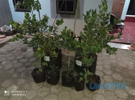 Xiaomi Redmi Note Review Performa Memuaskan Baterai Bisa Diandalkan Laptophia