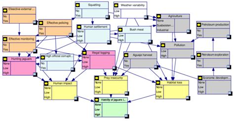 Bayesian Network Model Showing The Dependencies Between Viability Of