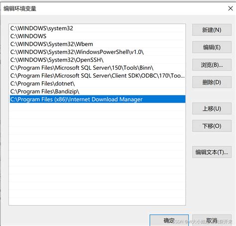 使用idm下载磁力链或迅雷文件