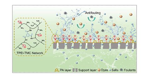 N Oxide Zwitterionic Based Antifouling Loose Nanofiltration Membranes