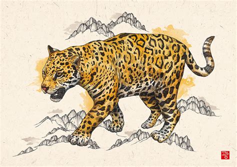 광광 풍표화[재규어] 일러스트레이션 풍경과 재규어 재규어 일러스트 한국 일러스트 Jaguar