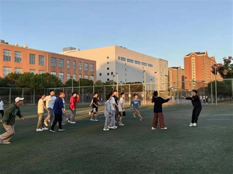 草系多巴胺追风飞盘二