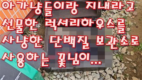 꽃님이가 사냥한 단백질을 보관하는 방법 Youtube