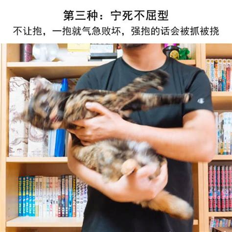 一個正確的抱貓姿勢，可以讓你免受皮肉之苦 每日頭條