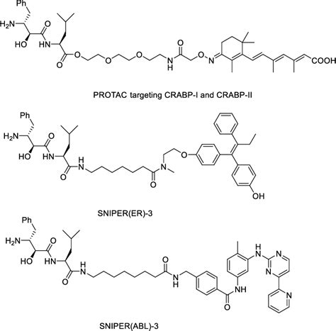 Figure 1 1 From Development Of Novel Protac Small Molecule Degraders Of Mdm2 Protein And