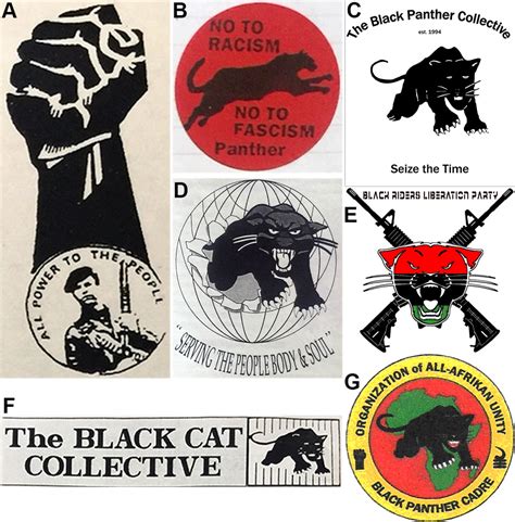 “there Is No New Black Panther Party” The Panther Like Formations And The Black Power