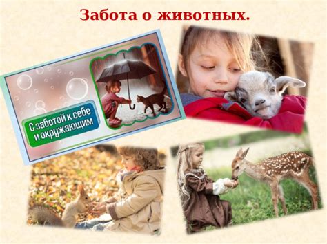РАЗГОВОРЫ О ВАЖНОМ Презентация для 5 7 классов на тему «С ЗАБОТОЙ К СЕБЕ И ОКРУЖАЮЩИМ занятия