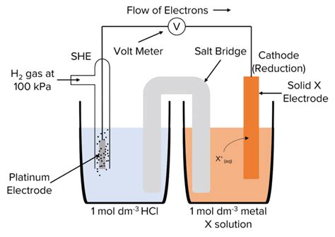 Platinum Electrode In Galvanic Cell At Shirl Ketner Blog