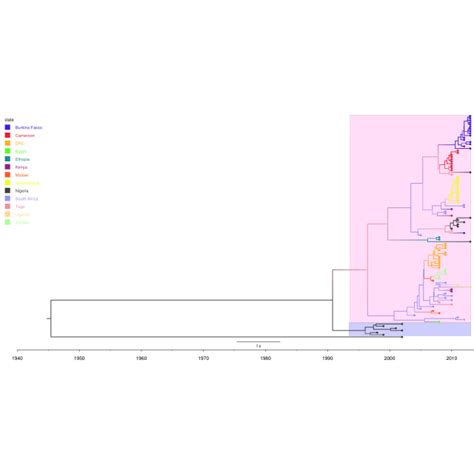 Phylogenetic Tree Of Rotavirus Genotype G12 Partial Vp7 Gene Sequences Download Scientific
