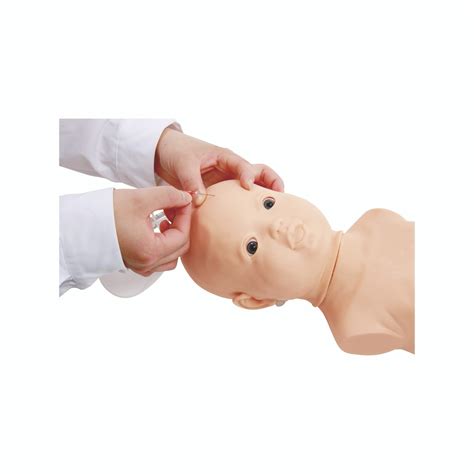 Anatomy Lab Infant Scalp Puncture Model