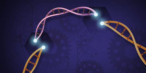 Crisprnih Usc Viterbi School Of Engineering