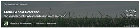 Kaggle竞赛总结ECCV2020全球小麦检测 Global Wheat Detection 竞赛总结 globalwheat2020