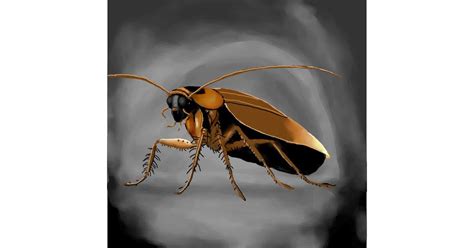 Watch Joze Draw Cockroach