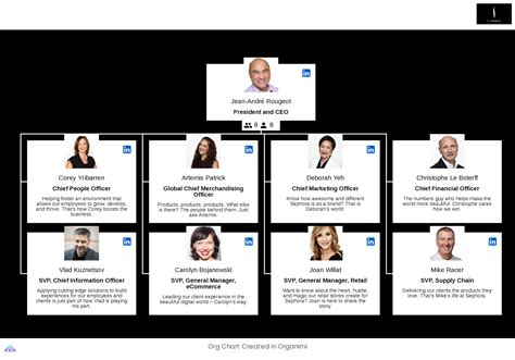 Sephoras Organizational Structure [interactive Chart] Organimi