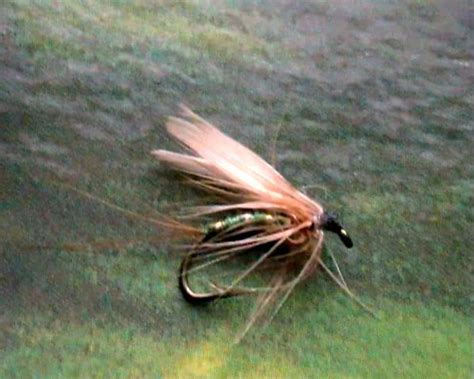 Zabudnuté Mokré Mušky Mokrá Muška Srzkysuca Sk