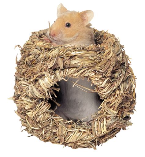 Grass Nest Kerbl Pet
