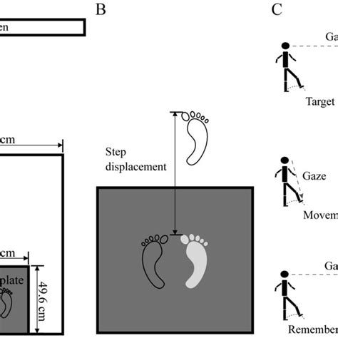 Main Effect Of Gaze Condition Tf Target Fixation Mf Movement Download Scientific Diagram