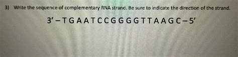 Solved 3 Write The Sequence Of Complementary Rna Strand Be