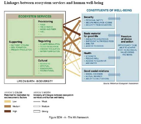 Millenium Ecosystem Assessment