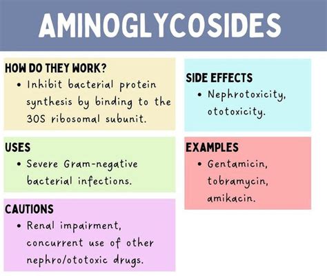 Aminoglycosides Medizzy