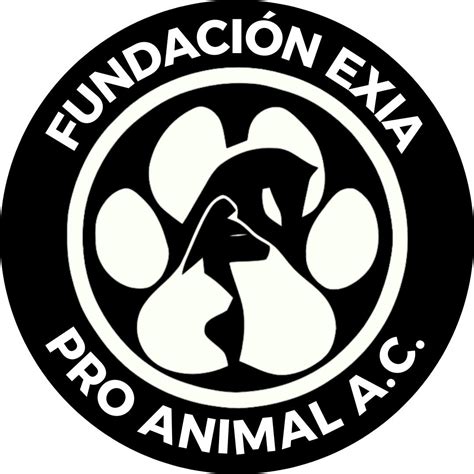 Fundación Exia Colima Colima