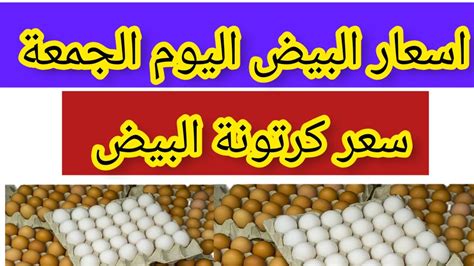 اسعار البيض اليوم سعر البيض اليوم الجمعة ١٣ ١ ٢٠٢٣ فى مصر Youtube
