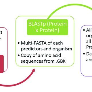 Steps In Dataset Creation Download Scientific Diagram
