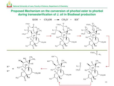 Ppt Degradation Of Phorbol Esters With An Atmospheric Pressure Plasma