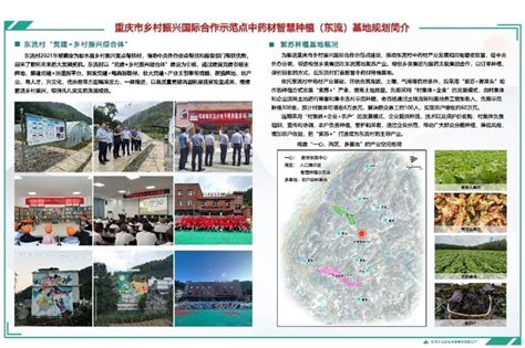 中央外办副主任邓洪波一行调研我会万企兴万村行动示范项目建设推进情况 重庆市安徽商会官方网站