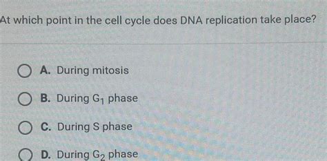 [answered] At Which Point In The Cell Cycle Does Dna Replication Take Kunduz