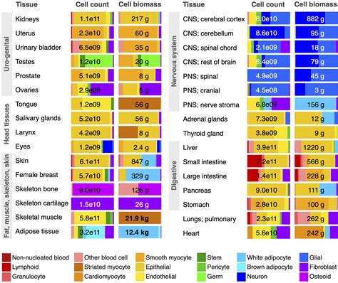The Human Cell Count And Size Distribution Pnas