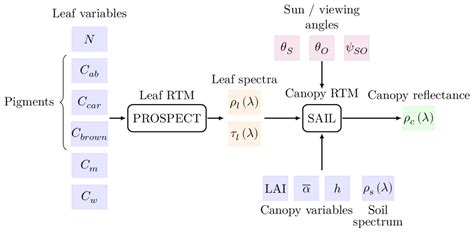Biophysical Parameter Retrieval From Sentinel 2 Images Using Physics Driven Deep Learning For