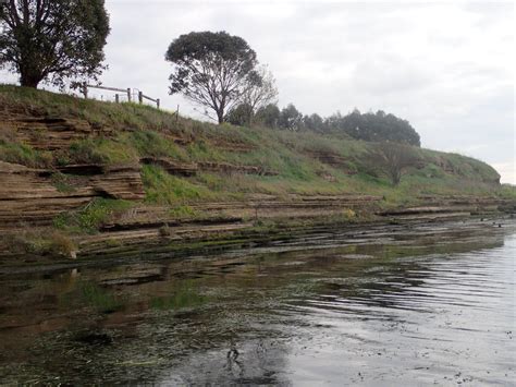 Buzzer Nymph The Fly Shop Australia