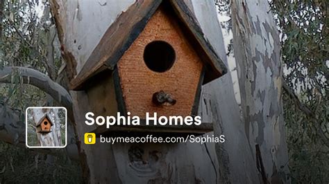 Sophia Homes Buymeacoffee