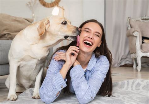 Hond Die Vrouw Likt Fotos Gratis En Royaltyvrije Stockfotos Uit